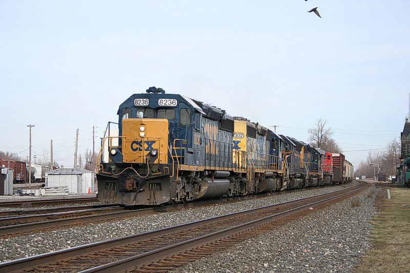 CSX 8236
